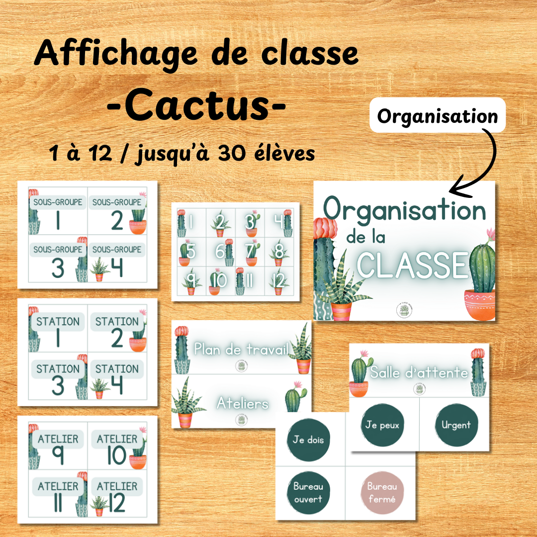 Affichage de classe - Cactus – La classe moderne